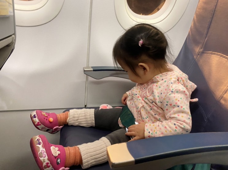 22개월 아기와 세부 여행 - 세부퍼시픽 5J128, 129 저가항공 금액 : 네이버 블로그