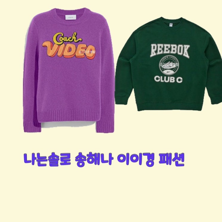 송해나 이이경 나는솔로79회 니트 보라색 초록색 레터링 Video 맨투맨 티셔츠 스웨터 옷 패션 네이버 블로그