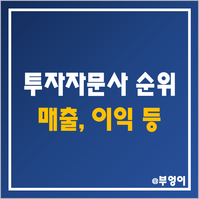 국내 투자자문사 및 투자일임사 순위 한국 자문사 및 일임사 종류 매출액 영업이익 당기순이익 자본금 직원수 등