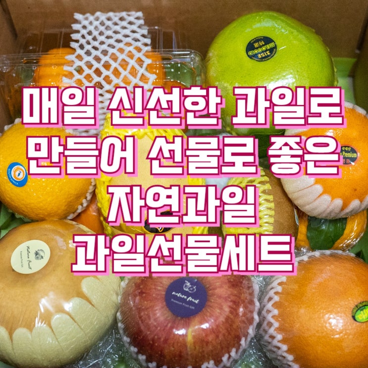과일선물세트 추천 자연과일 Feat설날 추석 과일바구니 명절 축하 위로 감사 임신 병문안 네이버 블로그