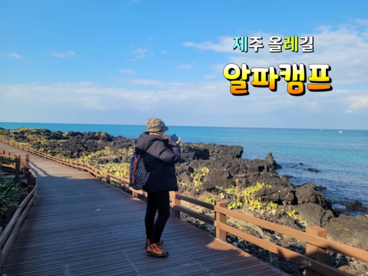 제주올레길완주 알파캠프로 혼자 뚜벅이 여행 추천 네이버 블로그