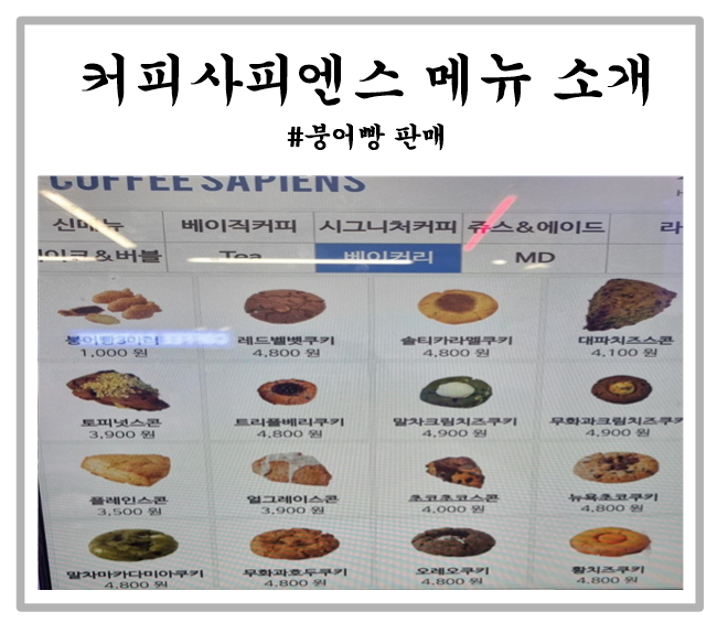 커피사피엔스 메뉴 안내 And 가격 디저트 공유 네이버 블로그