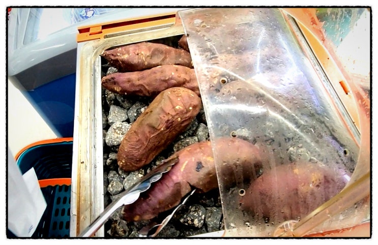 편의점 군고구마 가격 얼마일까 맛 좋은 겨울 간식 파는 곳 찾아다녀봤어요 지에스 Gs 25 And 씨유 Cu 군고구마 기계