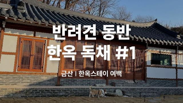 금산 애견 동반 펜션 한옥스테이 여백 대전 세종 근교 네이버 블로그