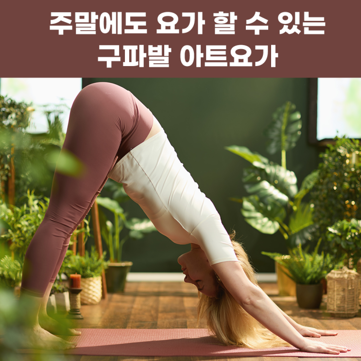 주말에도 요가 할 수 있는 구파발 아트요가 구파발요가 진관동요가 지축요가 삼송요가 연신내요가 주말요가