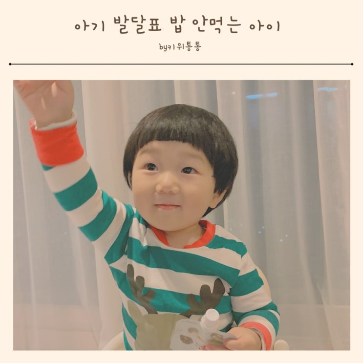 아기 발달표 체크 밥 안먹는 아이 영양 관리하기 네이버 블로그