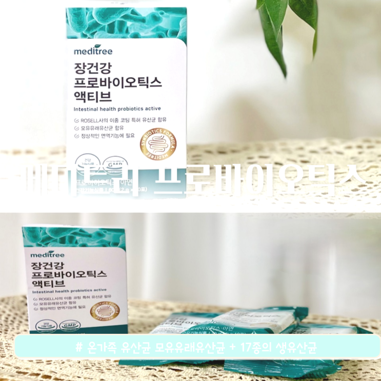 소중한 장을 위한 생유산균 메디트리 장 건강 프로바이오틱스 액티브 네이버 블로그