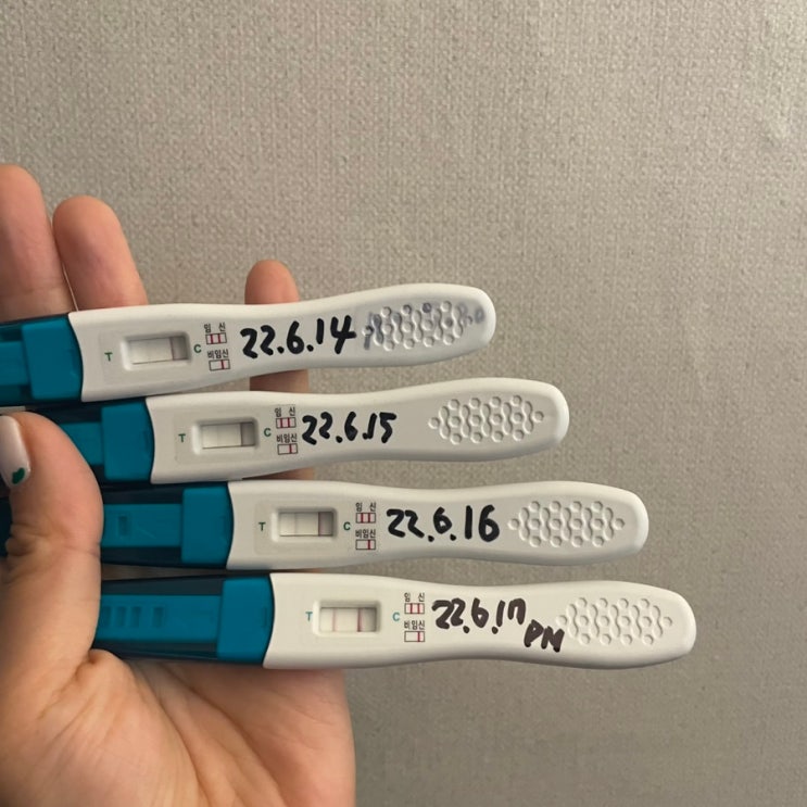 어느날 엄마가 되었다 1 임신초기증상 임밍아웃 입덧 첫심장소리 5주~7주 네이버 블로그