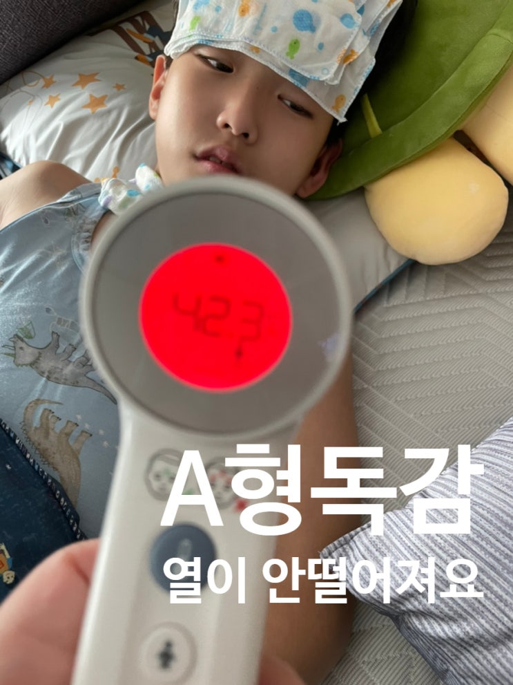 춘천 임플란트 독감 열이 안떨어져요 A형 독감증상 40이상 고열 열내리는 음식 열내리는 방법 네이버 블로그