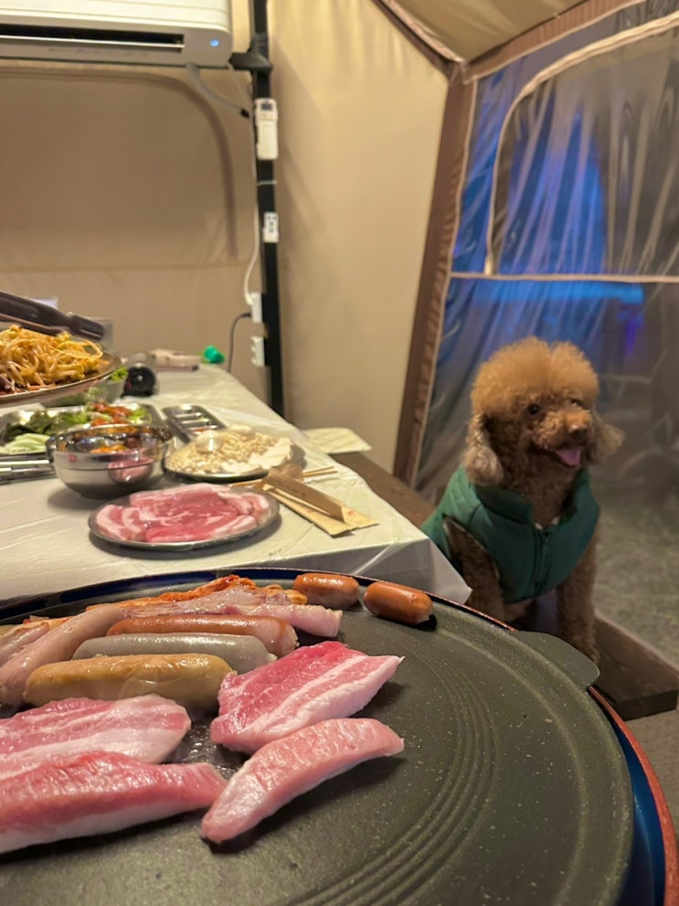 천안 애견 동반 식당 한마음정육식당 안서점” 글램핑 캠핑 바베큐장 예약 키즈존 이용방법 총정리 네이버 블로그