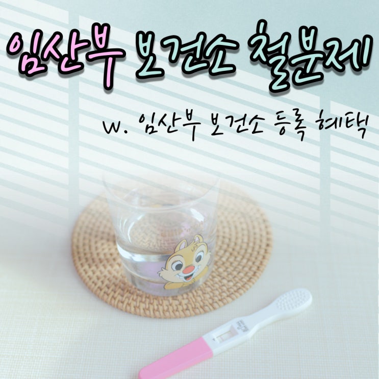 임산부 보건소 철분제 받는 방법 W 보건소 임산부등록 혜택 네이버 블로그