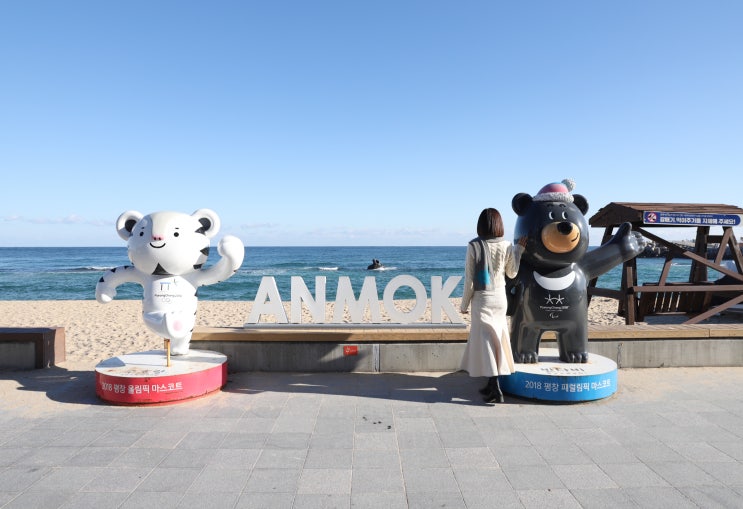 강원도 강릉 안목해변 카페거리 주문진 아들바위 등대공원 등 볼거리 갈만한곳 네이버 블로그