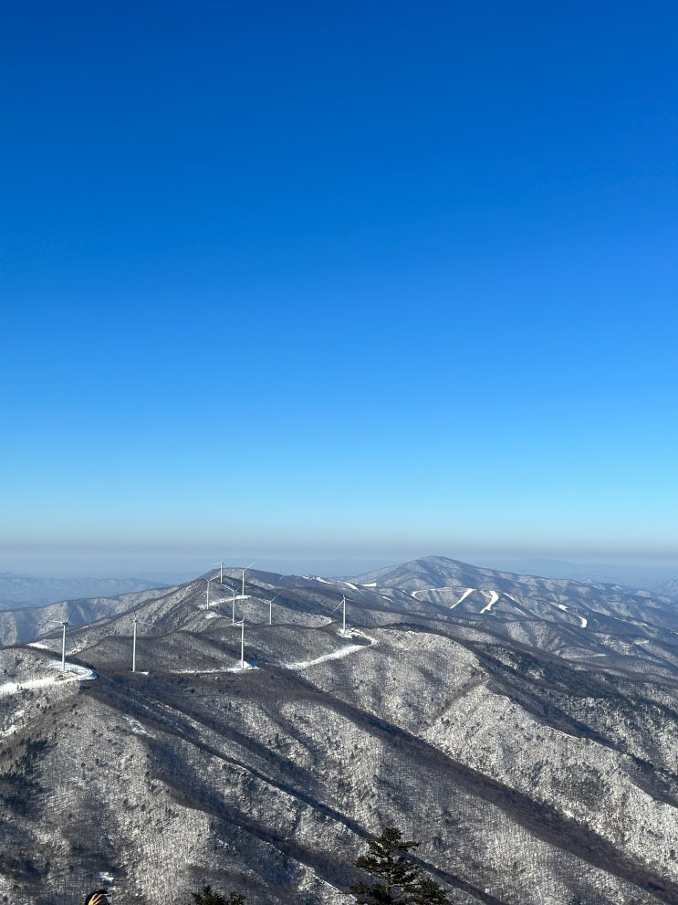 강원도 함백산 최단코스 등린이들도 충분히 가능한 1시간코스 네이버 블로그