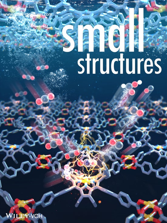 Wiley_Small Structures_논문 삽화, 논문이미지,저널이미지,논문삽화이미지,sience 논문삽화, Journal ...