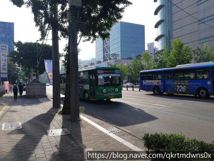 (경북 고령/농어촌) 대가야여객 606번 버스 // [고령터미널~서문시장 - 74.2km] : 네이버 블로그