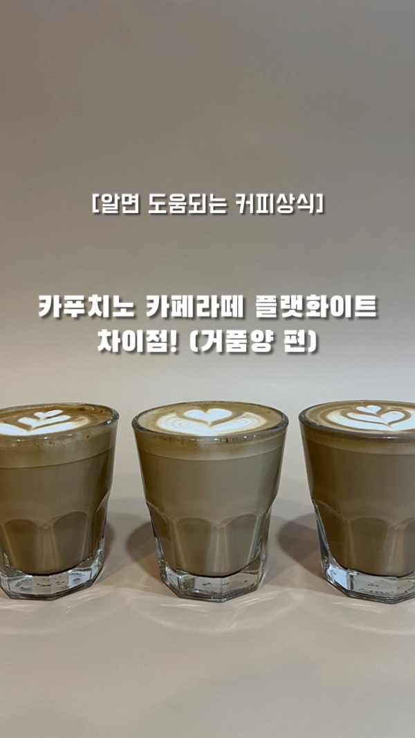 카푸치노카페라떼플랫화이트의 차이점은 무엇일까요 우유스티밍의 중요성 네이버 블로그