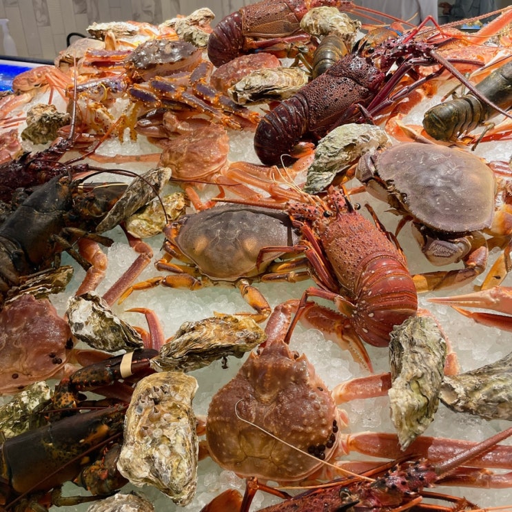 나혼자산다 박나래 허니제이가 간 한국에서 가장 비싼 뷔페 서울 강남구 삼성동 크랩52 예약팁 달라진 식사시간 네이버 블로그