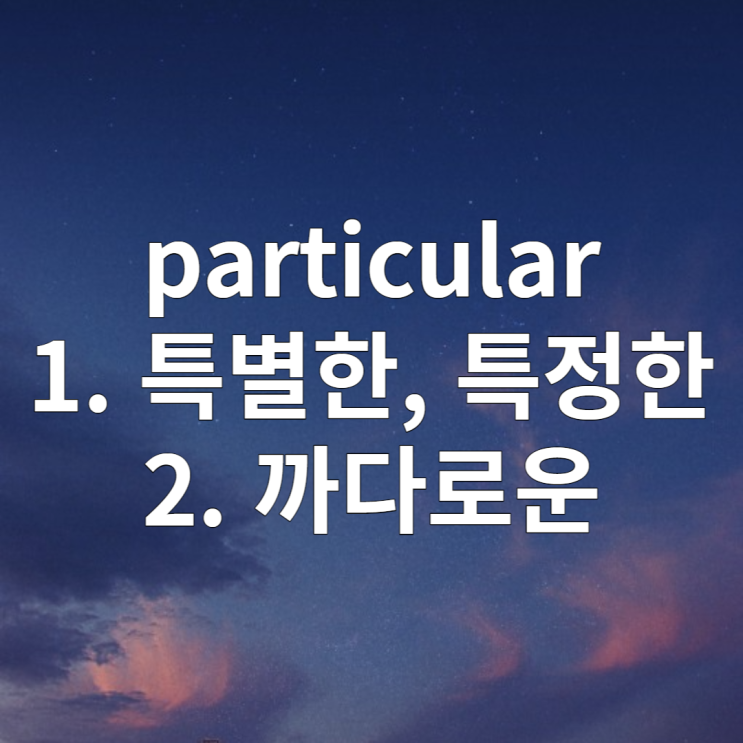 particular, particularly 뜻 완벽정리 : 네이버 블로그