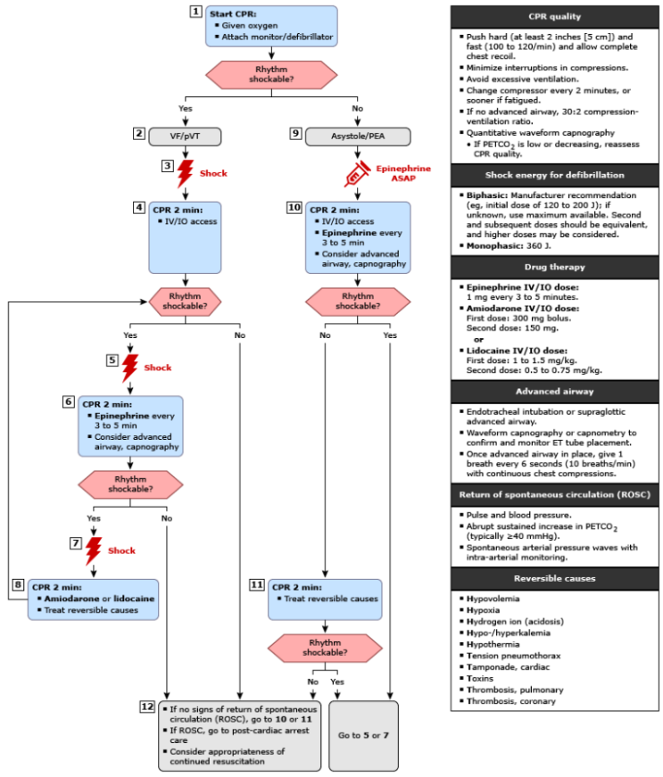 ALCS : CPR 지침, Bradycardia algorithm(서맥 알고리즘), tachycardia algorithm(빈맥 ...