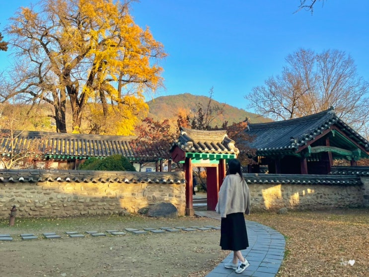 전주한옥마을 당일치기 여행시 꼭 가볼만한곳 가을단풍이 예쁜 전주향교 네이버 블로그