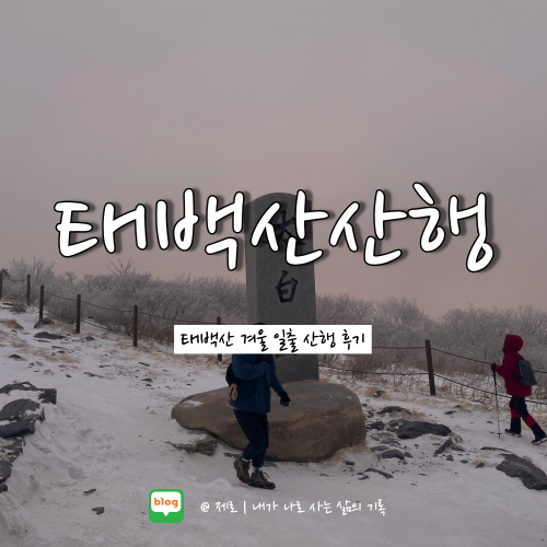 등린이의 태백산 겨울 일출 산행 후기 준비물 네이버 블로그