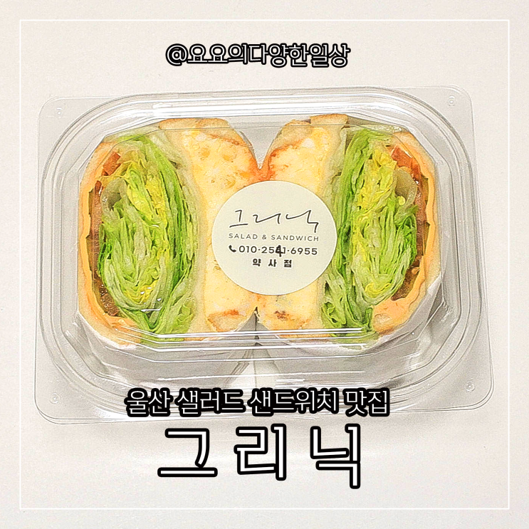 울산 샌드위치 샐러드 맛집 건강했던 그리닉 약사동점 네이버 블로그