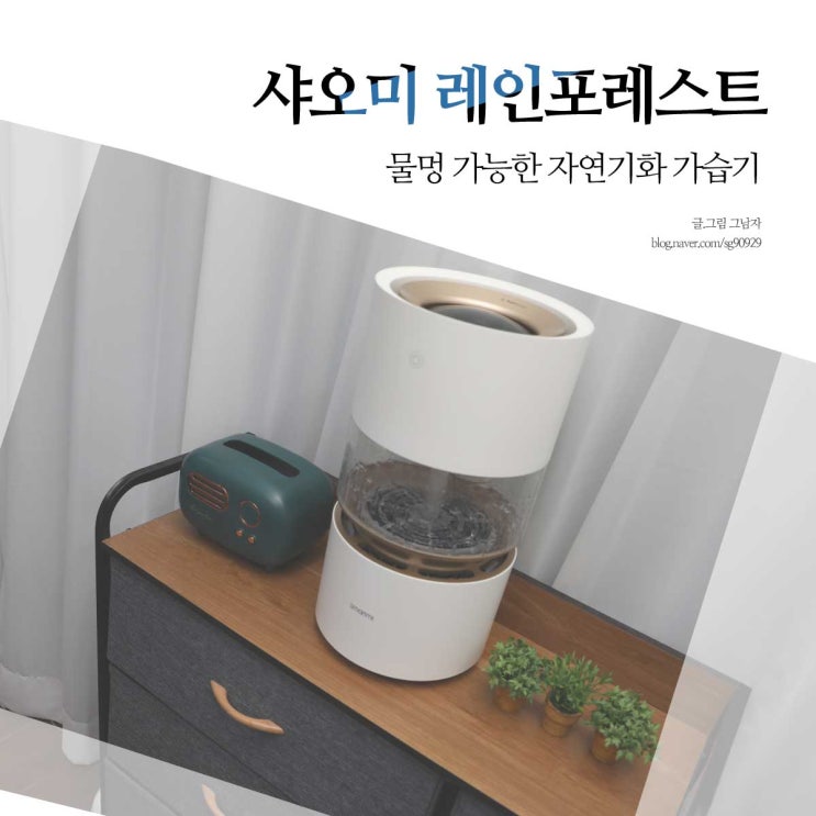 자연 기화식 가습기 물멍 가능한 자연기화 가습기 추천 해보니 네이버 블로그