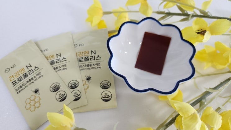 ♡닥터케이디 건강엔n프로폴리스♡ 가래없애는방법 비염영양제 네이버 블로그
