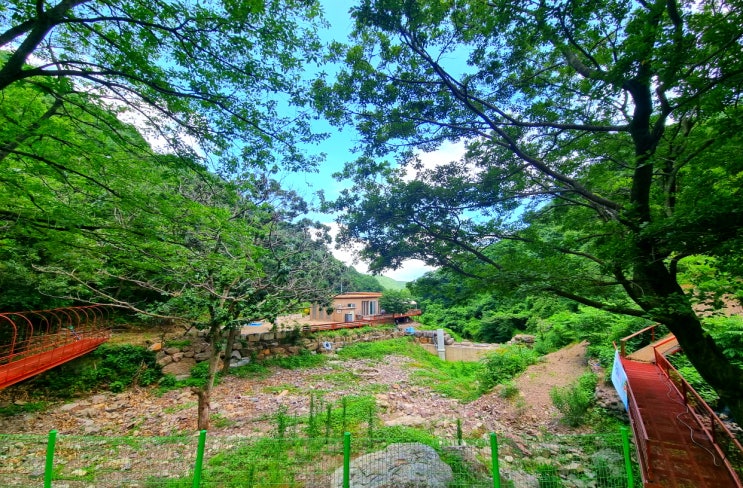 람뷰후기 자연속에서 오롯한 힐링을 누리세요~ 합천펜션 합천독채펜션 태산독채펜션 추천 네이버 블로그