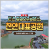 천안시 의원 성성동 성성 호수 공원 통해 지역 상권 활성화 강조 네이버 블로그