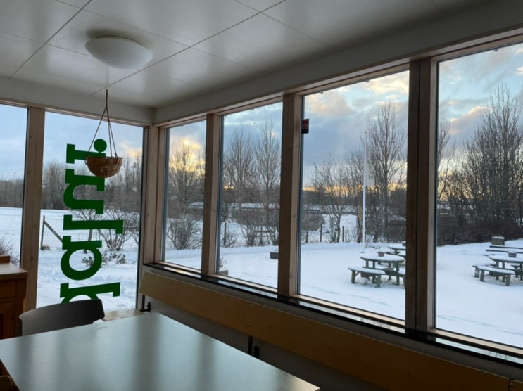 아이슬란드 dalur hostel , 레이캬비크 시티 호스텔, 아이슬란드 숙소 추천 ! 🇮🇸 : 네이버 블로그