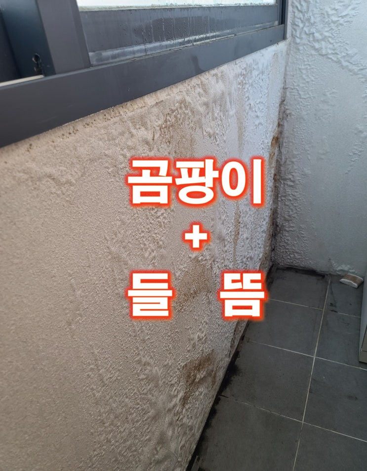 베란다 탄성코트 곰팡이 탄성코트 들뜸 벗겨짐 박리 보수에 베란다 결로 방지 Diy 단열재 써멀라이너 네이버 블로그
