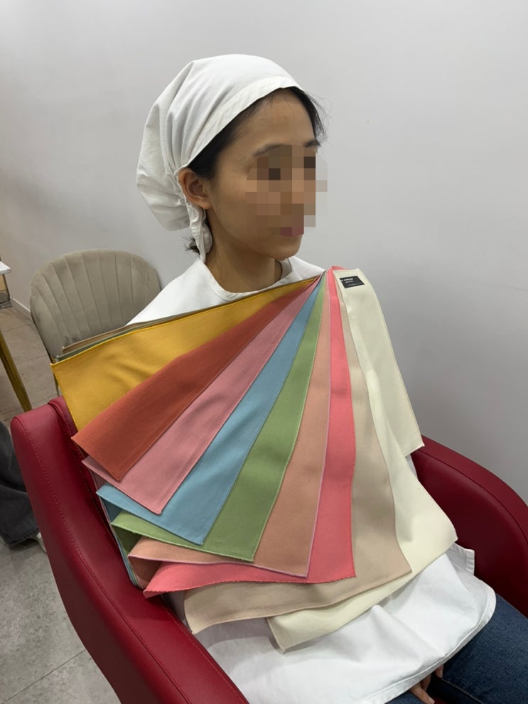 퍼스널컬러 컬러가산다 강남점 가격 가을뮤트 And 여름라이트 추천템 및 후기 네이버 블로그