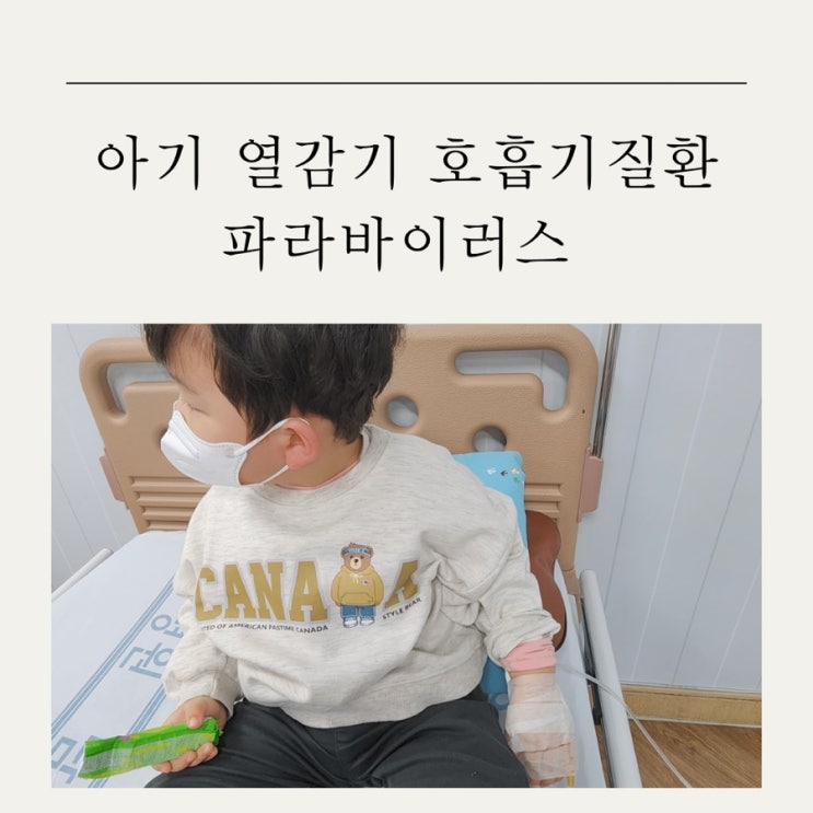 파라바이러스 파라인플루엔자증상 아기 열감기신생아 감기 네이버 블로그