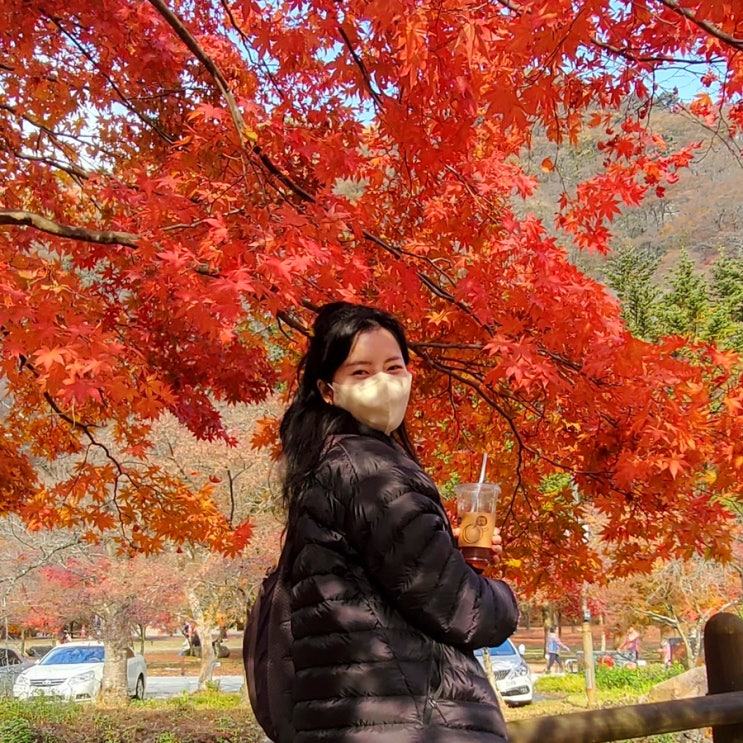 2022 11 정읍 내장산 단풍구경 And 대지식당 And 쌍화차거리 가족여행🍁 네이버 블로그