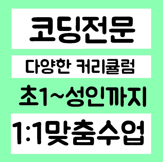 포항 양덕 코딩학원 장성동 파이썬 컴퓨터 C언어 자바 초등 중학생 네이버 블로그