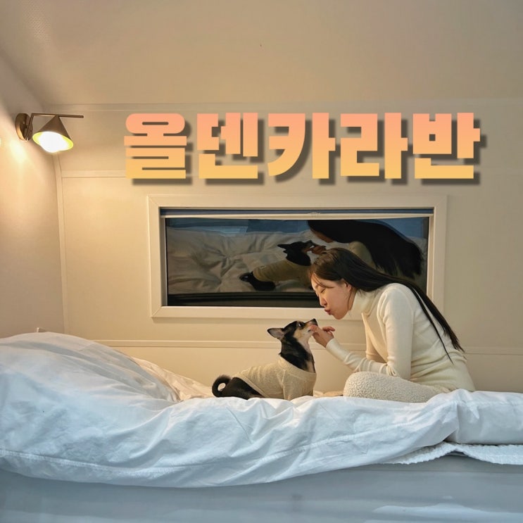 가평) 청평호가 보이는 애견동반숙소 '올덴카라반' : 네이버 블로그