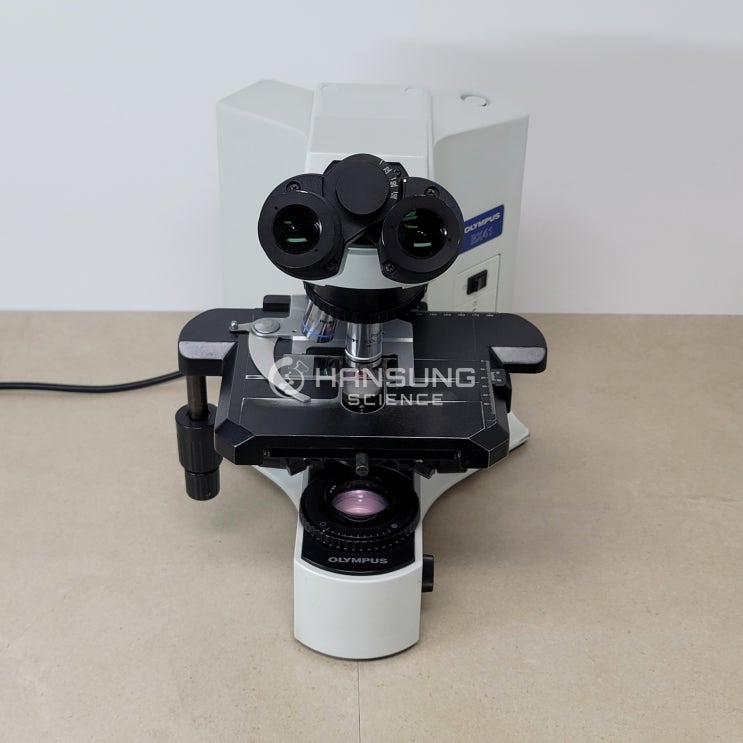 Olympus BX41TF Biological Microscope , 정립 생물현미경 (H433) : 네이버 블로그