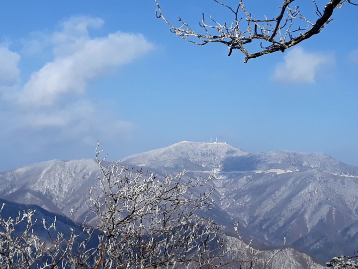 재개발 재건축사업의 시공사의 공사비 인상 요구에 대한 대처 방법 : 네이버 블로그