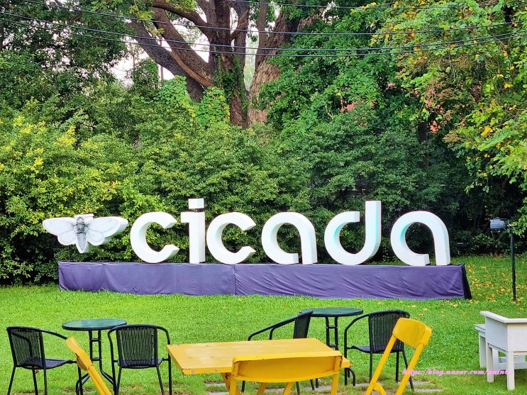 후아힌 씨케다 야시장 Cicada Market : 네이버 블로그