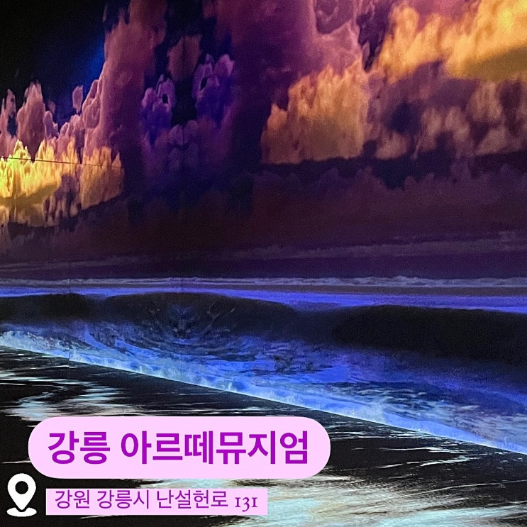 강릉여행 아르떼뮤지엄 강릉 실내데이트 가볼만한 곳 포토존 입장료 강릉여행지 추천 네이버 블로그