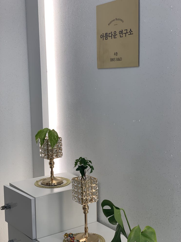 이수역피부관리 아름다운 연구소 방배동 리포브 마스터를 통해 얼굴에 광을내보자 네이버 블로그