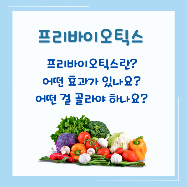 프리바이오틱스 종류 효과 자일로올리고당 갈락토올리고당 프락토올리고당 네이버 블로그