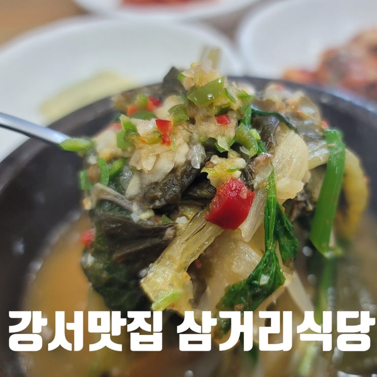 부산 강서구 경마장근처 삼거리식당 찐 추어탕 추천 맛집이래요. : 네이버 블로그