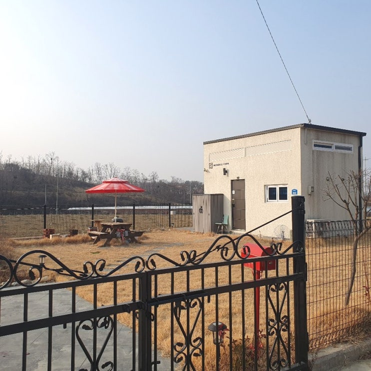 대구 파티룸 추천 독채로 프라이빗하게 즐길 수 있는 대구 공간 대여 스페이스미라벨” 네이버 블로그