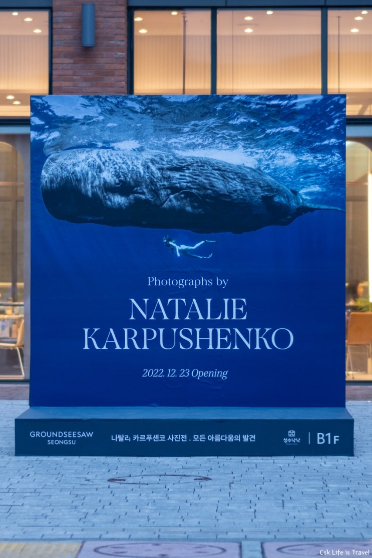 나탈리 카르푸셴코 사진전, 1월 가볼만한 전시 (Natalie Karpushenko), 그라운드 시소 : 네이버 블로그