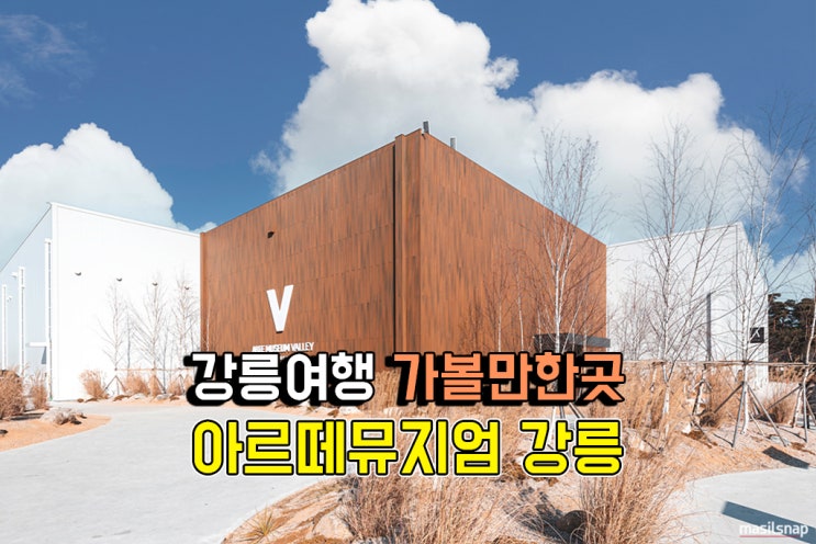 강릉여행 가볼만한곳 아르떼뮤지엄 강릉 실내여행지 미디어아트 전시 추천 네이버 블로그
