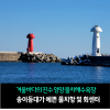 양양 겨울바다의 진수 물치해수욕장 및 송이 등대가 예쁜 물치항 과 회센터 네이버 블로그