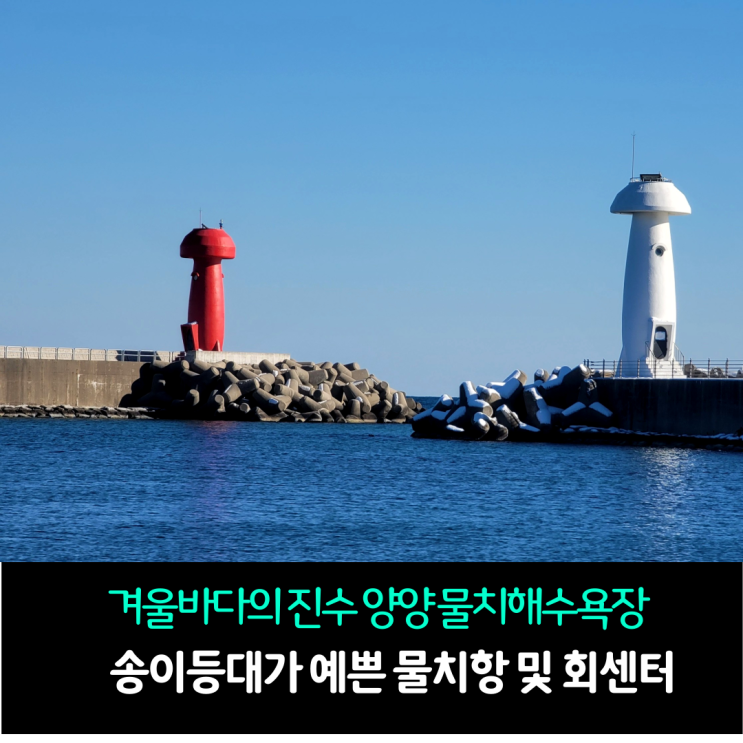 양양 겨울바다의 진수 물치해수욕장 및 송이 등대가 예쁜 물치항 과 회센터 네이버 블로그
