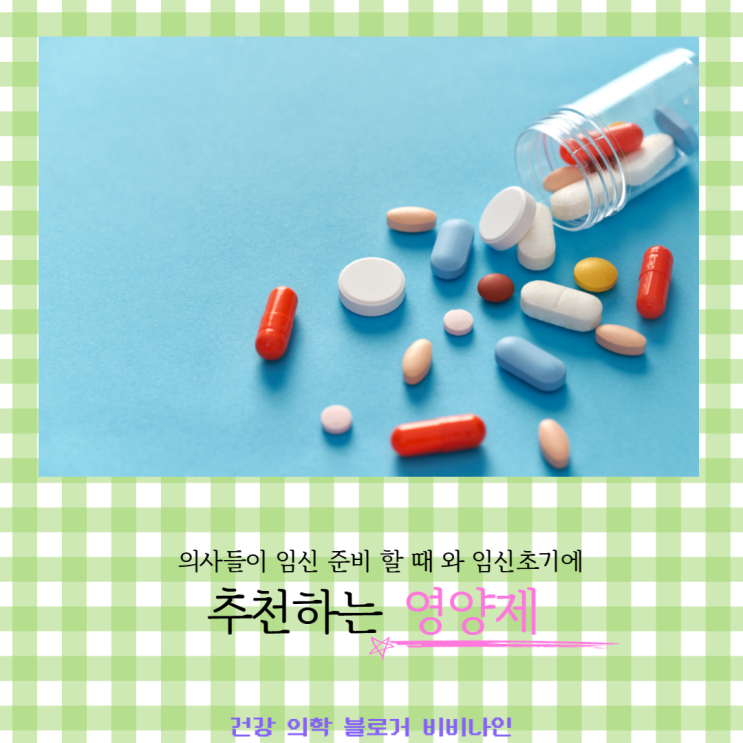 의사들이 임신 준비 할 때 및 임신 초기에 추천하는 임산부영양제 네이버 블로그